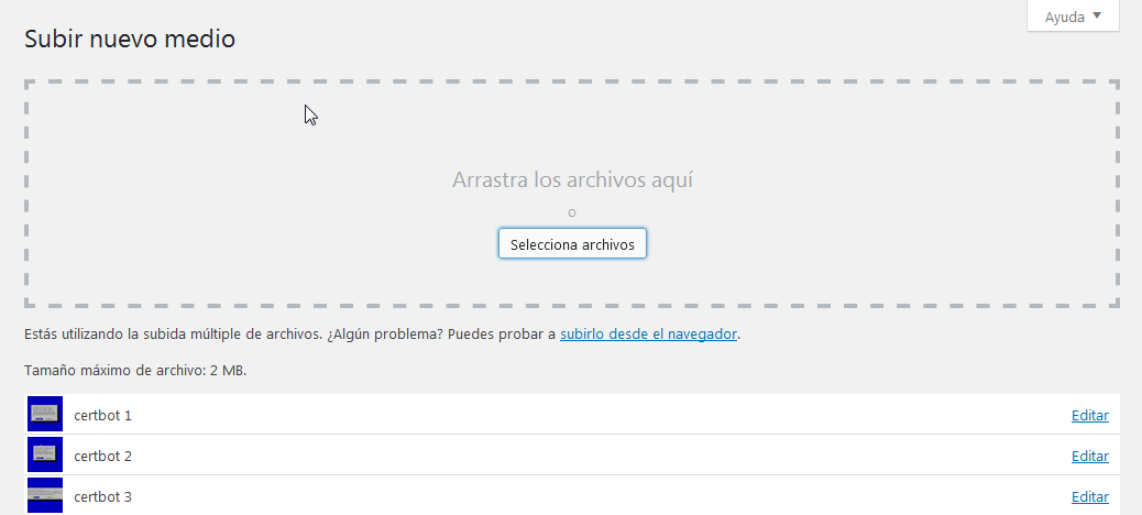 Ha habido un error al subir el fichero en Wordpress: Sólo se ha podido ...